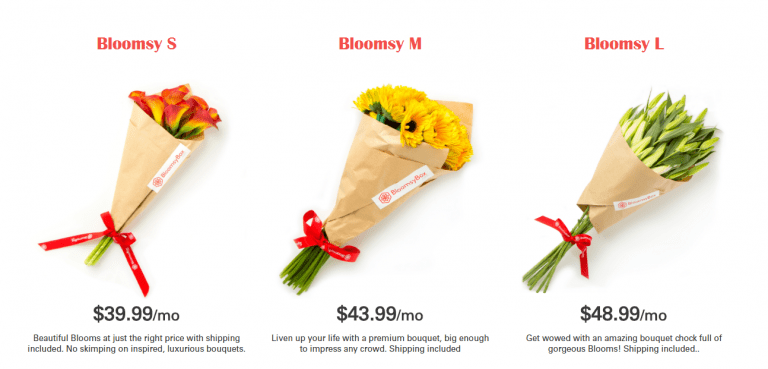 Give The Gift Of Flowers Year Round With Bloomsy Box - See Mom Click