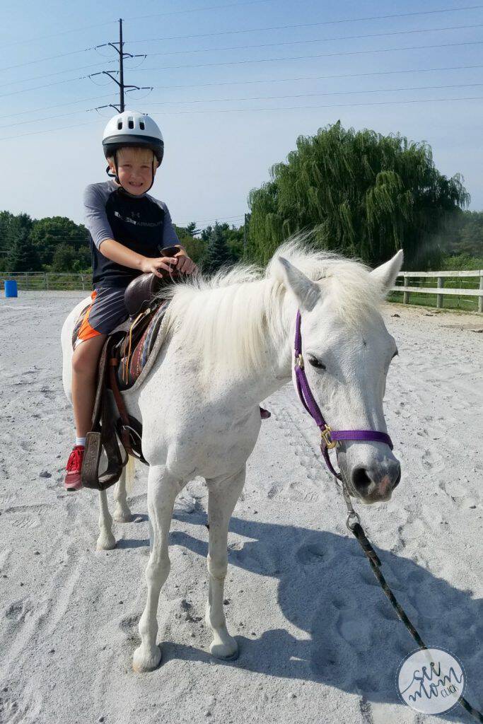 Nookside Stables in Lancaster County - See Mom Click