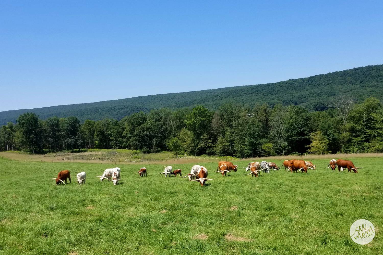 9 Things to Do at Penn State With Kids - See Mom Click