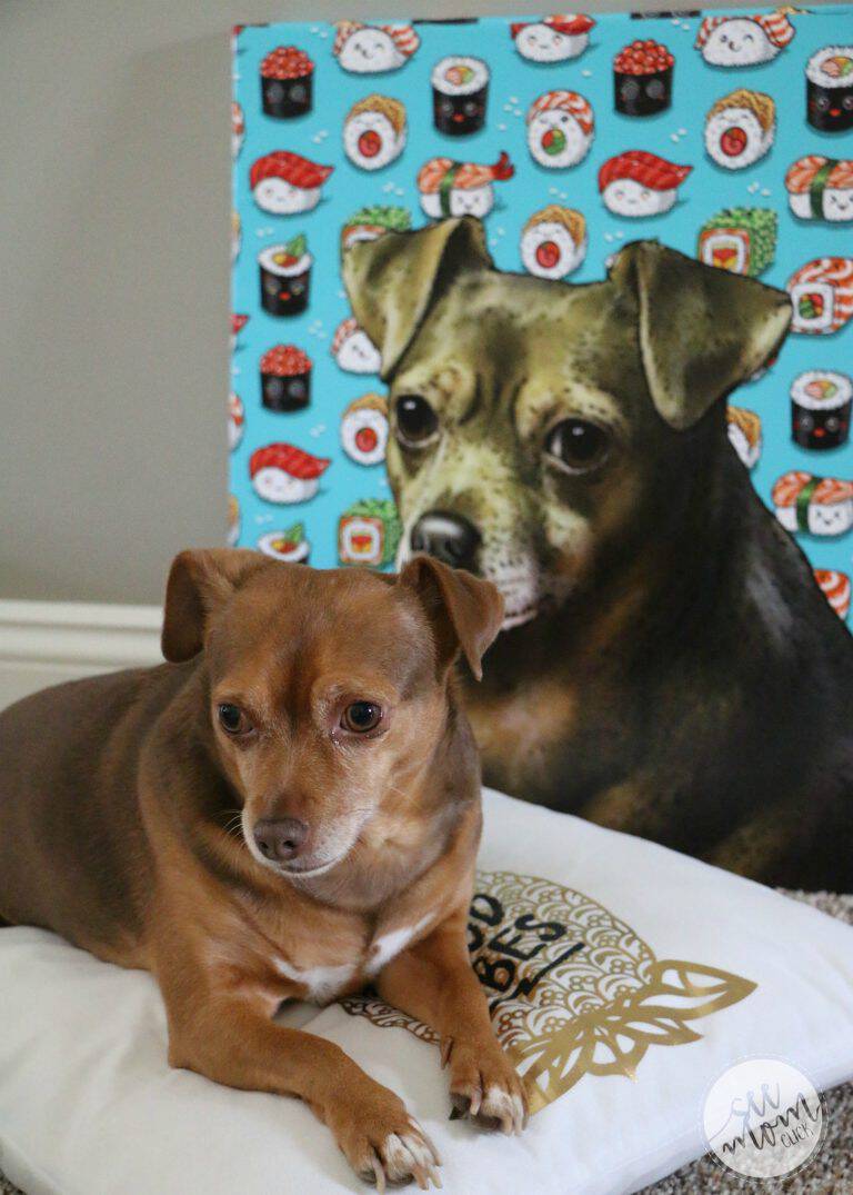 Pop Your Pup Is The Ultimate Gift for Pet Lovers - See Mom Click
