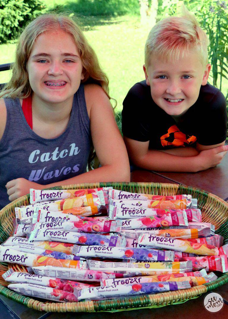 Refreshing Froozer Frozen Fruit Snacks Are a Mom's BFF | See Mom Click