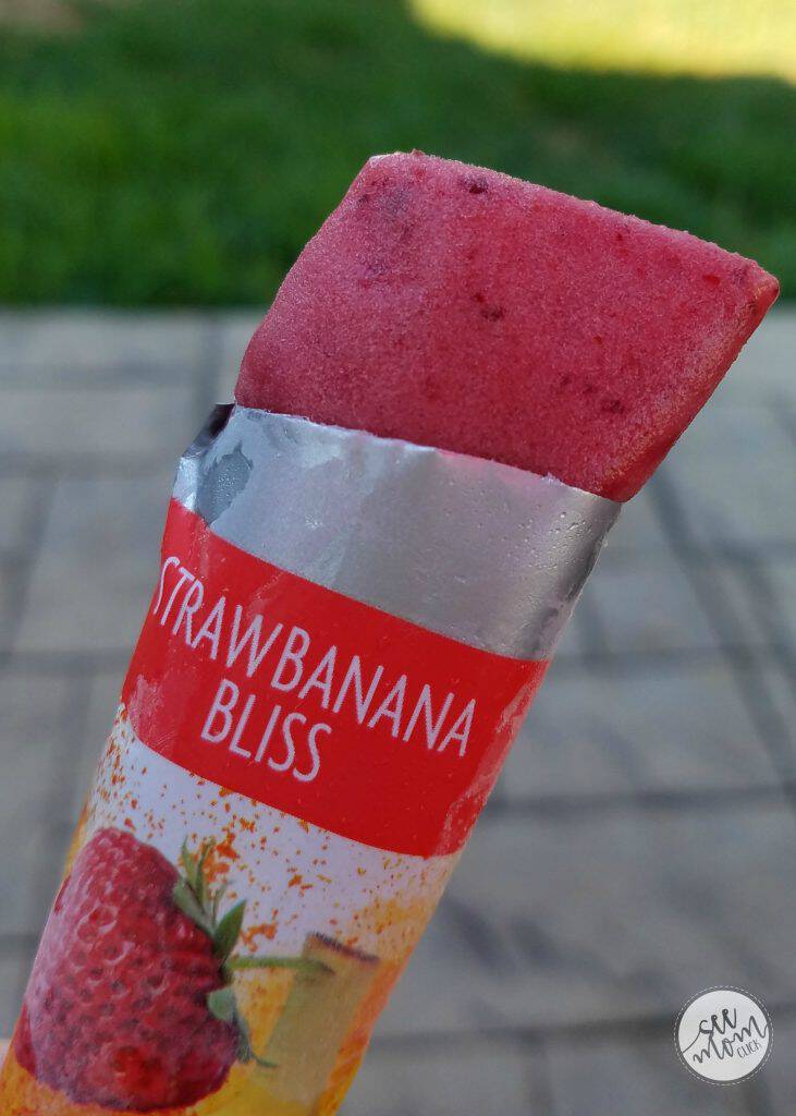 Refreshing Froozer Frozen Fruit Snacks Are a Mom's BFF | See Mom Click