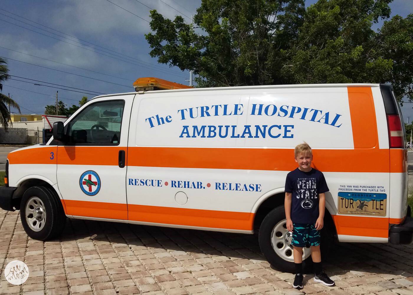 Turtle Hospital Marathon FL - Sea Turtle Rescue Florida Keys