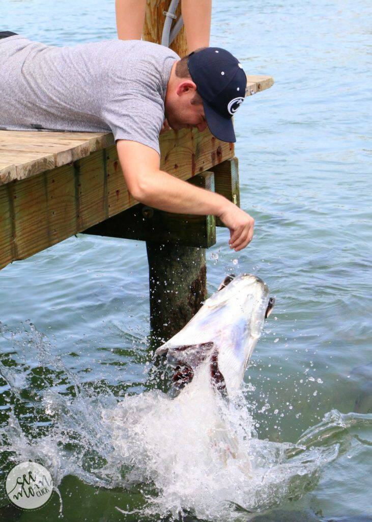 Robbie's of Islamorada - Feed The Tarpon Florida Keys
