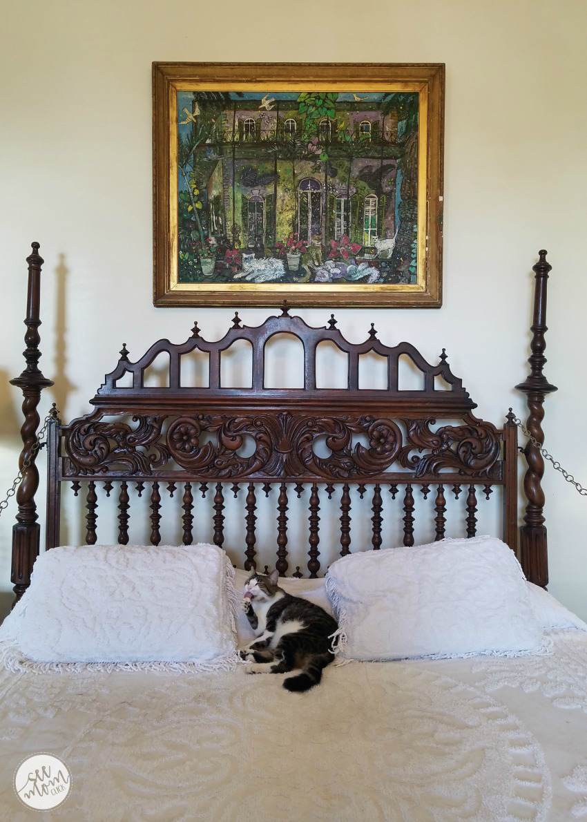 The Cats of the Ernest Hemingway Home and Museum in Key West, Florida ...