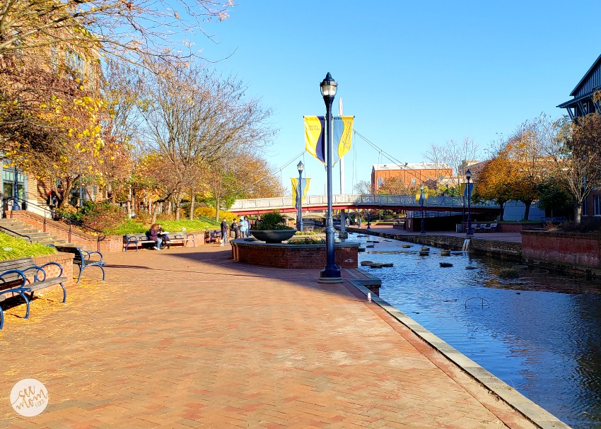 TreeTrekkers Frederick MD Outdoor Adventure Park | See Mom Click