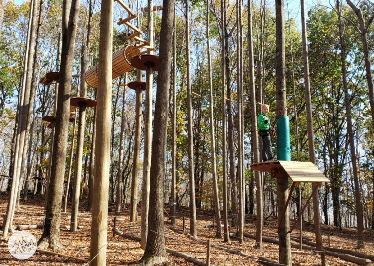 TreeTrekkers Frederick MD Outdoor Adventure Park | See Mom Click