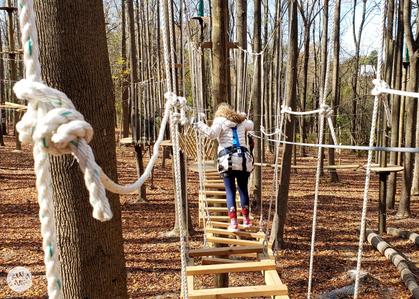 TreeTrekkers Frederick MD Outdoor Adventure Park | See Mom Click