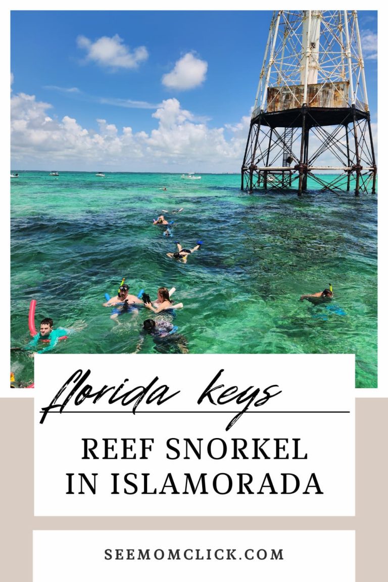 Amazing Snorkeling in Islamorada in The Florida Keys | See Mom Click